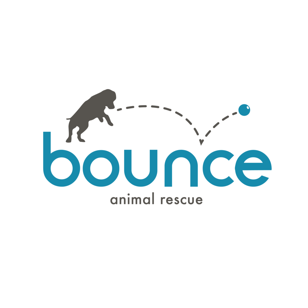 Bounce Animal Rescue - Animal Welfare Association of Colorado