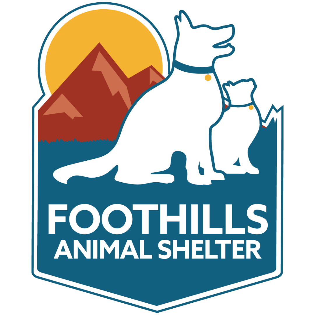 Registered Veterinary Technician - Animal Welfare Association of Colorado